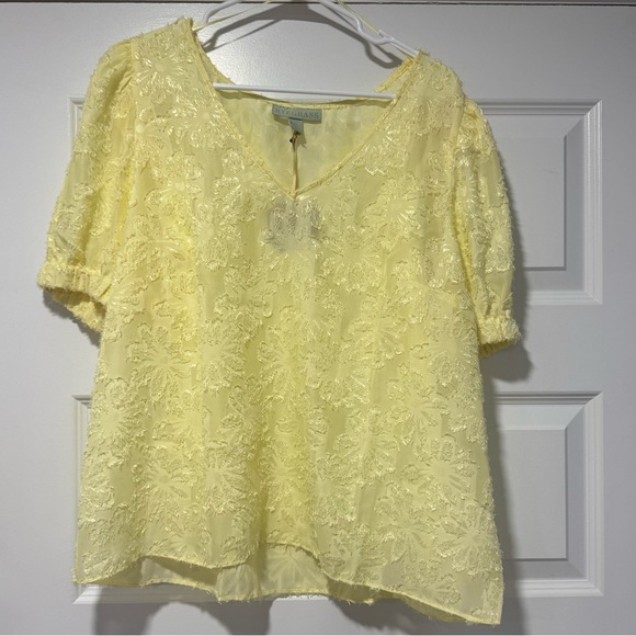ryegrass | Tops | Lace Vneck Floral Blouse In Soft Yellow | Poshmark